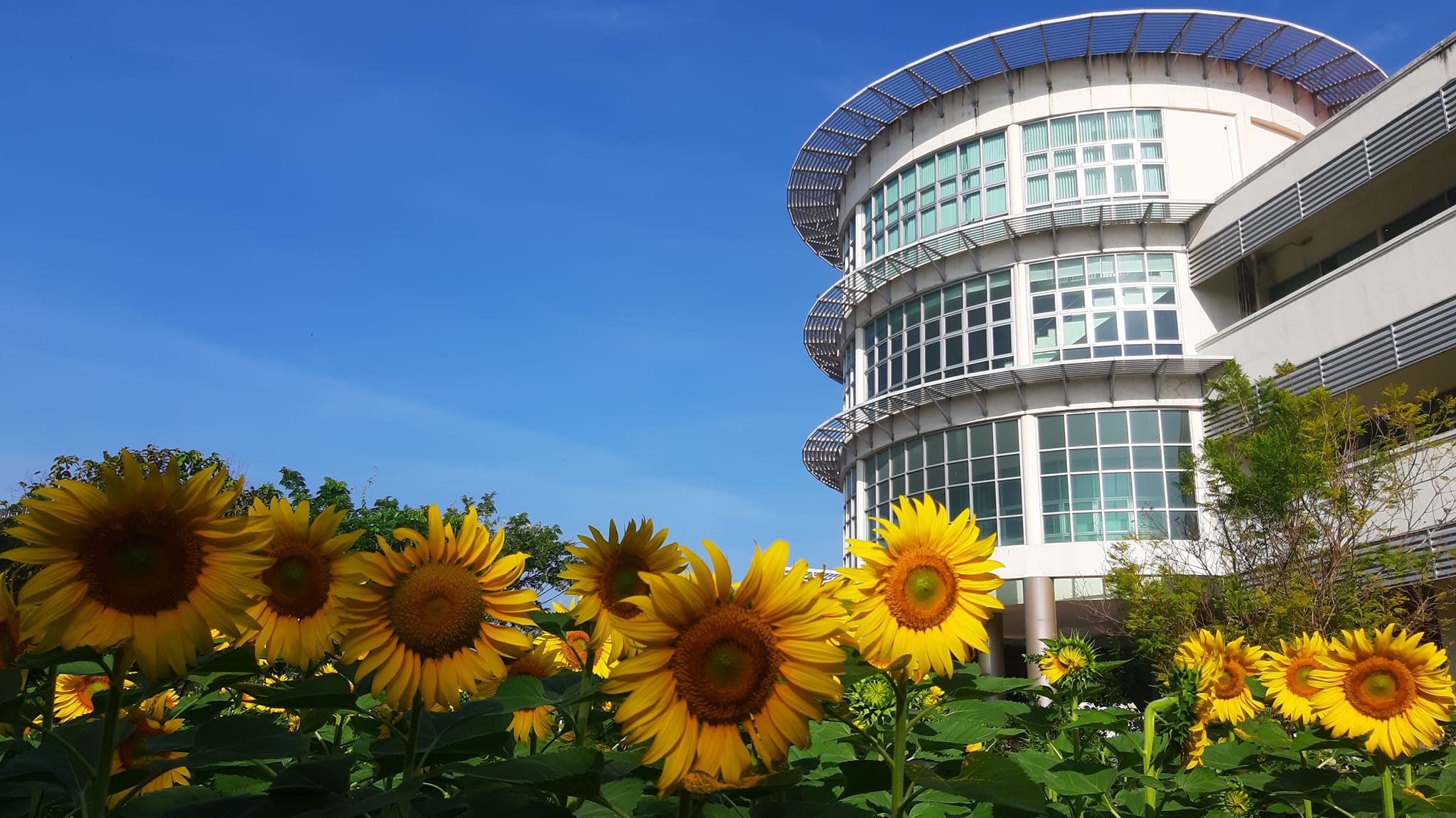 คอร์สทั้งหมด | SUT iLearn